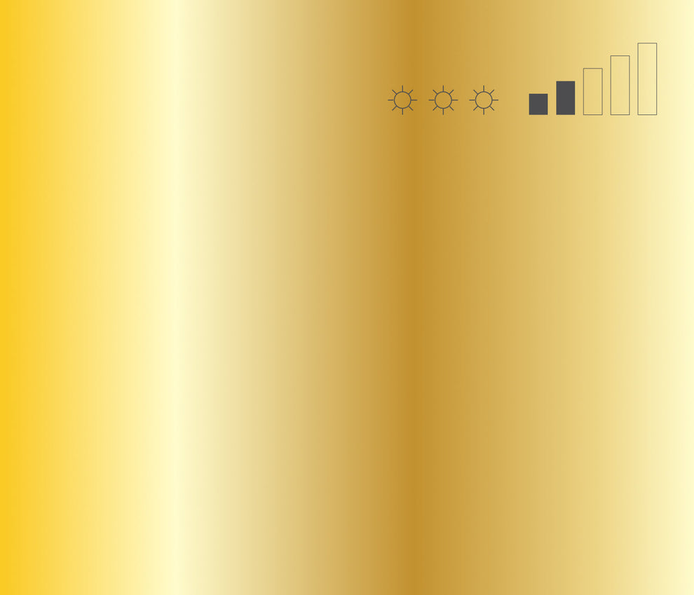 MTN 94 Spray Paint - Frame Gold – Spray Cans Online